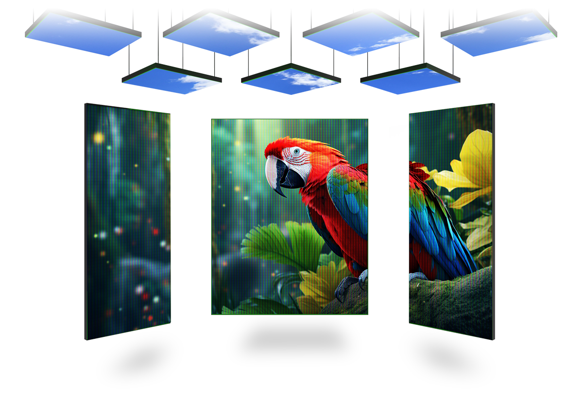 Bold Digital Signage | Evoke